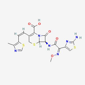 Cefditoren: Uses, Dosage, Side Effects and More | MIMS Hong Kong