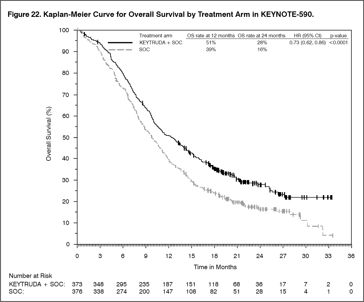 Keytruda Mechanism of Action | MIMS Hong Kong