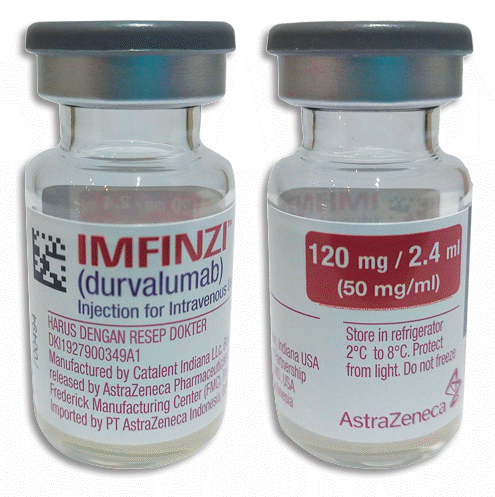 Imfinzi Dosage & Drug Information | MIMS Indonesia