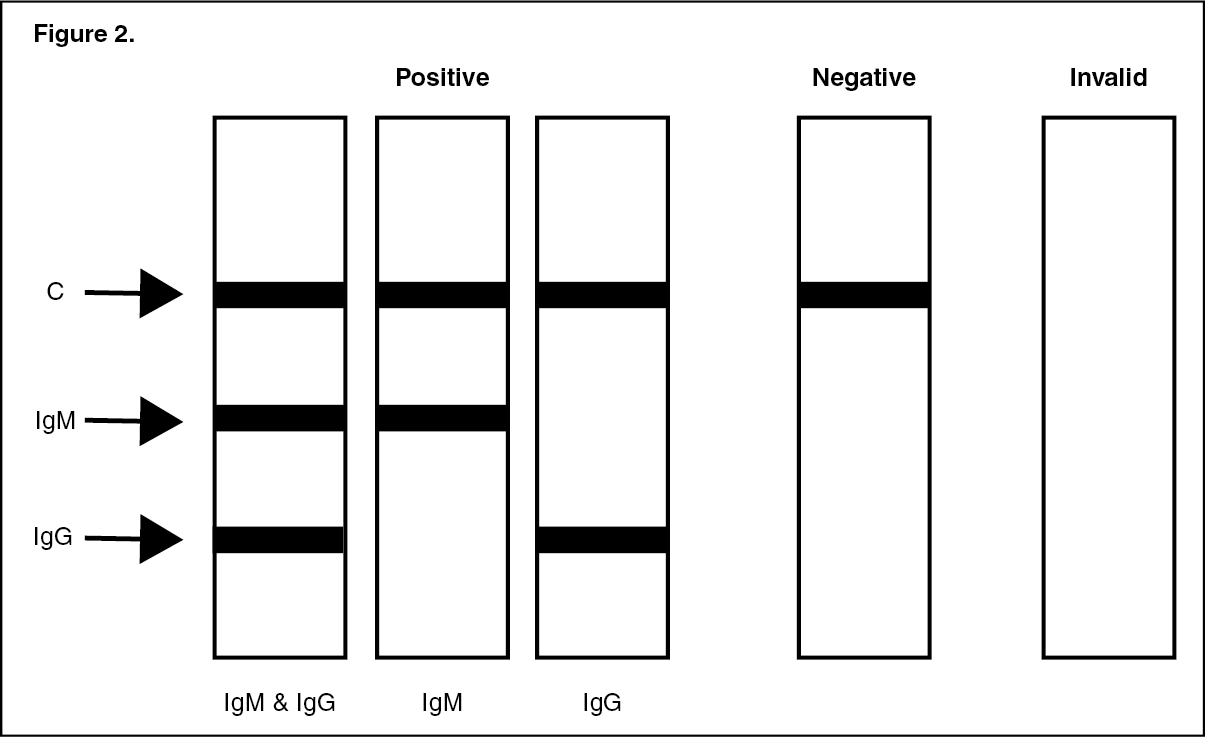 MedEx Neotest Dengue Combo NS1 Ag and IgG/IgM Antibodies Test Kit ...