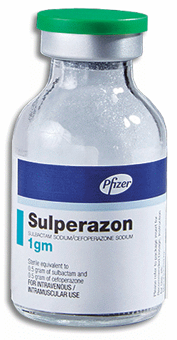 Sulperazon Dosage & Drug Information | MIMS Malaysia