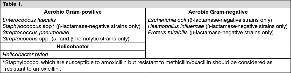 RiteMED Amoxicillin Mechanism of Action | MIMS Philippines
