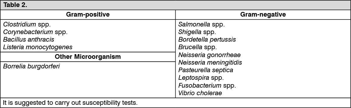 RiteMED Amoxicillin Mechanism of Action | MIMS Philippines