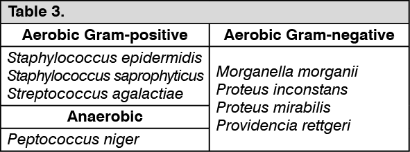 Zegen Mechanism of Action | MIMS Philippines
