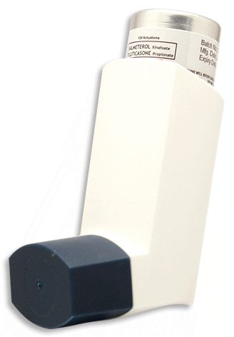 Adeflo MDI Dosage & Drug Information | MIMS Philippines