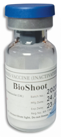 Bioshoot Dosage & Drug Information | MIMS Philippines