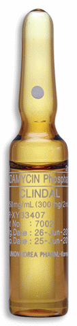Clindal/Clindal Injection Dosage & Drug Information | MIMS Philippines
