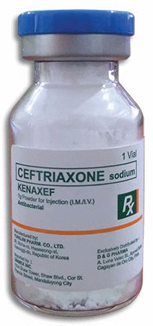 Kenaxef Dosage & Drug Information | MIMS Philippines