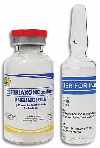 Pneumosolv Dosage & Drug Information | MIMS Philippines