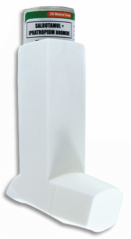 Pulmodual/Pulmodual MDI Dosage & Drug Information | MIMS Philippines