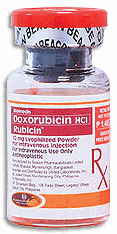 Rubicin Dosage & Drug Information | MIMS Philippines