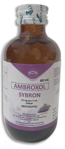 Sybron Dosage & Drug Information | MIMS Philippines