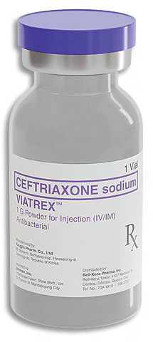 Viatrex Dosage & Drug Information | MIMS Philippines