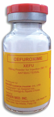 Xefu Dosage & Drug Information | MIMS Philippines