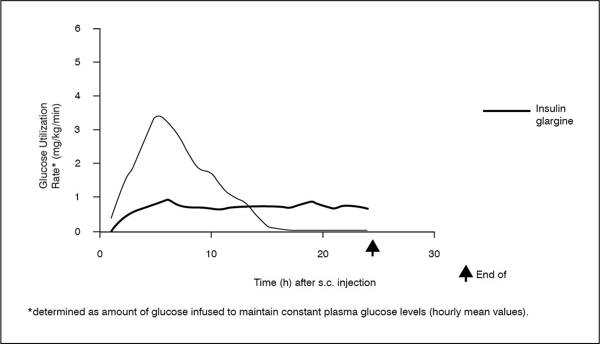 Lantus Mechanism of Action | MIMS Thailand