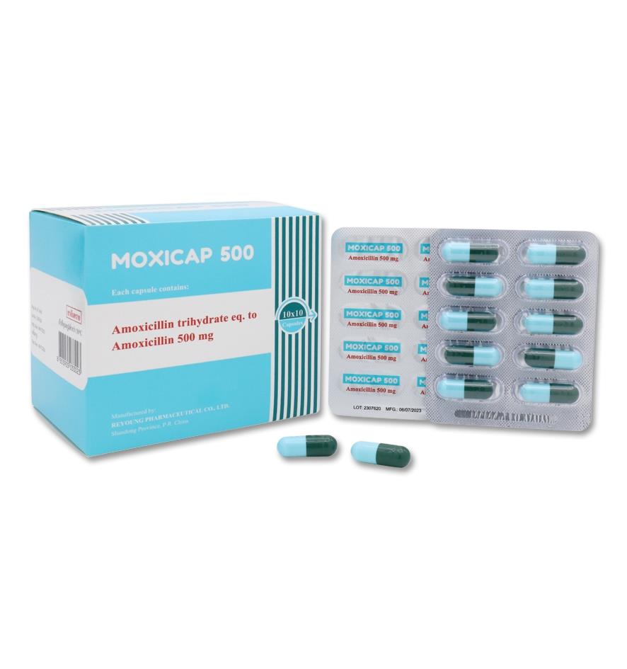 Moxicap 500 Mechanism of Action | MIMS Thailand