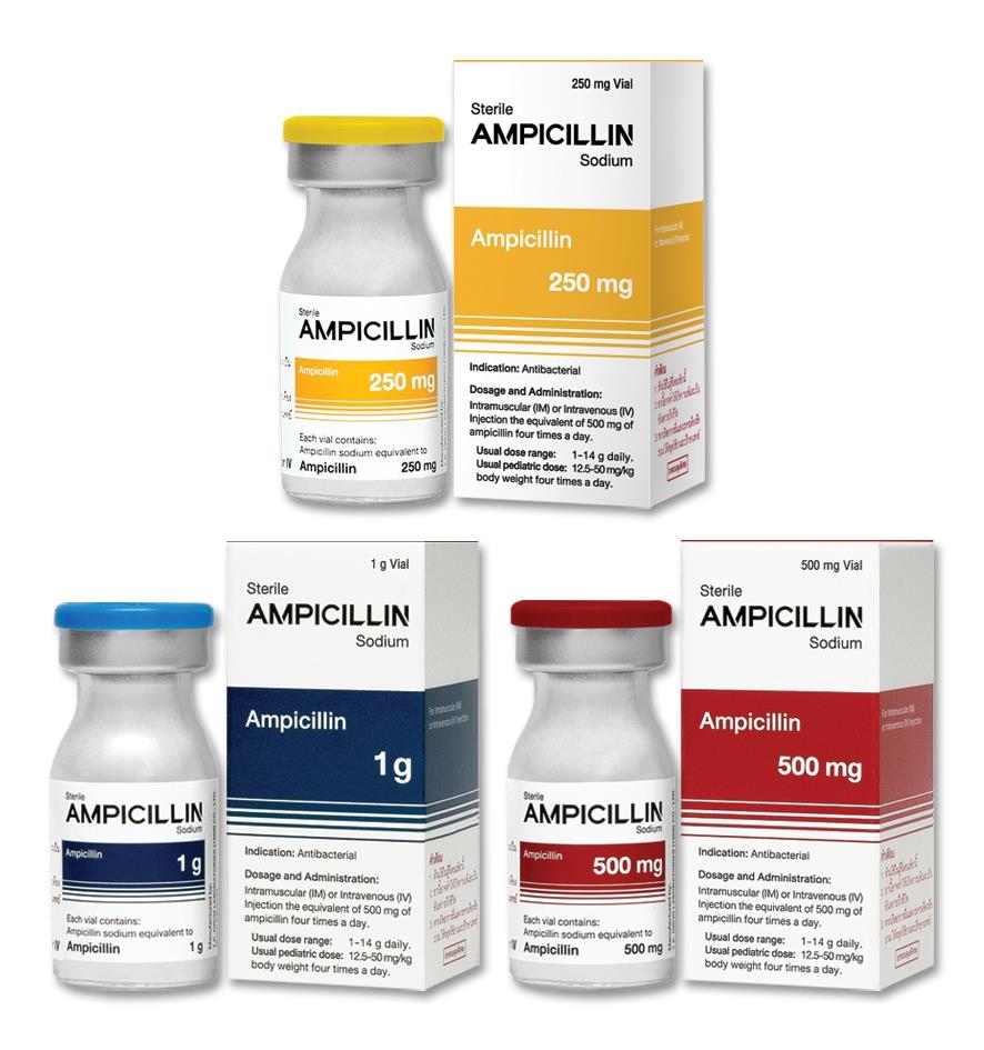 Sterile Ampicillin Sodium T P Storage | MIMS Thailand