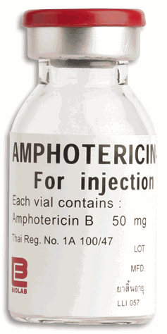 Biolab Products & Contact Information | MIMS Thailand