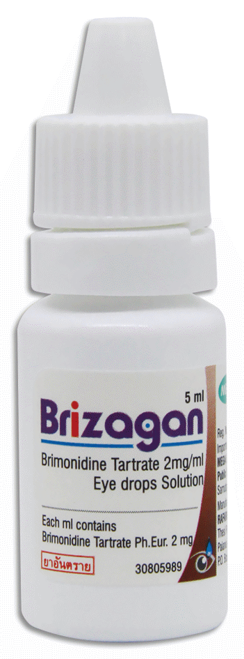 Image of Brizagan eye drops 0.2% w/v | MIMS Thailand