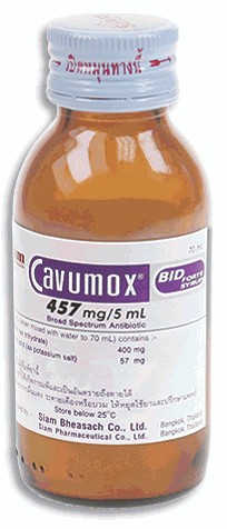 Cavumox Dosage & Drug Information | MIMS Thailand
