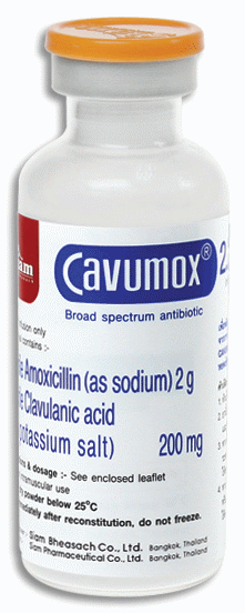 Cavumox Dosage & Drug Information | MIMS Thailand