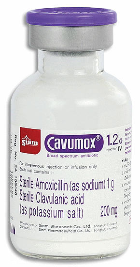 Cavumox Dosage & Drug Information | MIMS Thailand