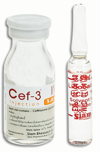 Cef-3 Dosage & Drug Information | MIMS Thailand