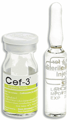 Cef-3 Dosage & Drug Information | MIMS Thailand