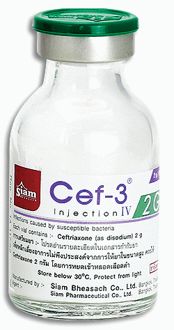 Cef-3 Dosage & Drug Information | MIMS Thailand