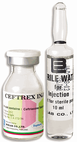 Ceftrex Dosage & Drug Information | MIMS Thailand
