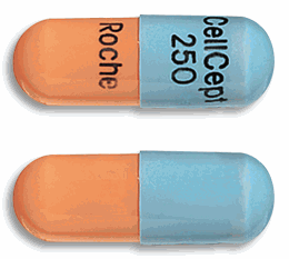 CellCept Dosage & Drug Information | MIMS Thailand