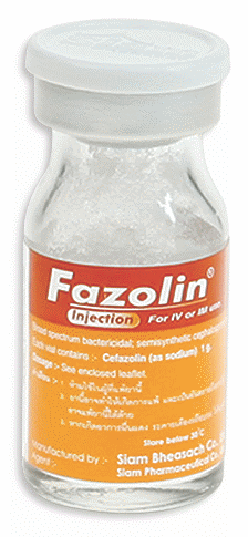 Fazolin Dosage & Drug Information | MIMS Thailand