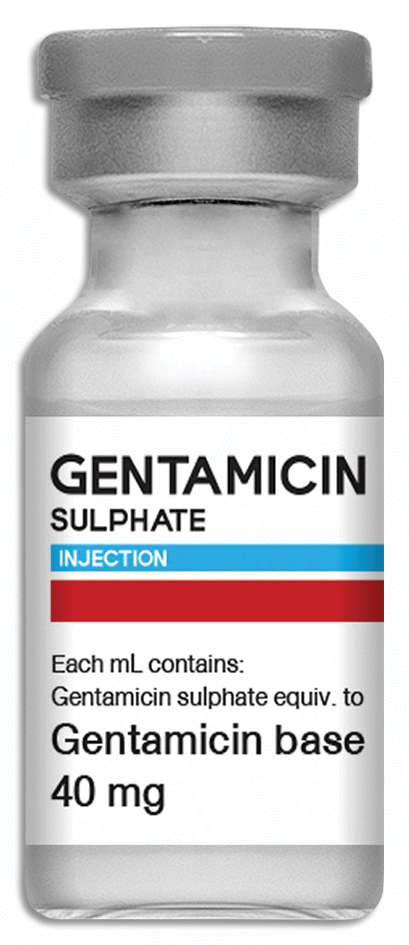 Gentamicin T P Dosage & Drug Information | MIMS Thailand