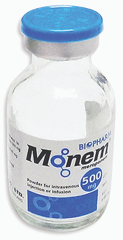 Image of Monem powd for inj 500 mg | MIMS Thailand