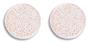 Image of Prevacid FDT/IV fast disintegrating tab 30 mg | MIMS Thailand