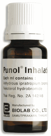 Punol Dosage & Drug Information | MIMS Thailand