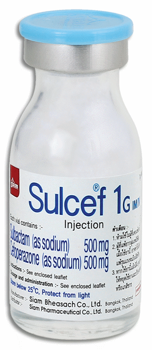 Sulcef Dosage & Drug Information | MIMS Thailand